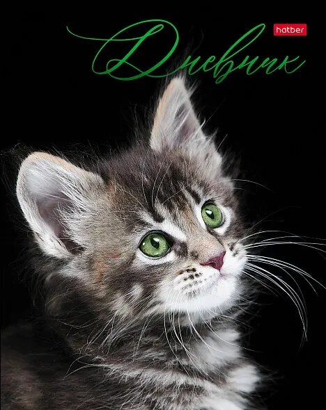 Дневник школьный твердая обложка (Hatber) Ушки на макушке глянцевая ламинация арт.40ДТ5В_28418