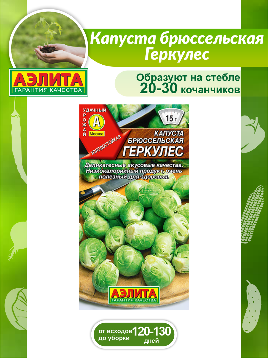 Семена Капуста брюссельская Геркулес 0,3 гр.