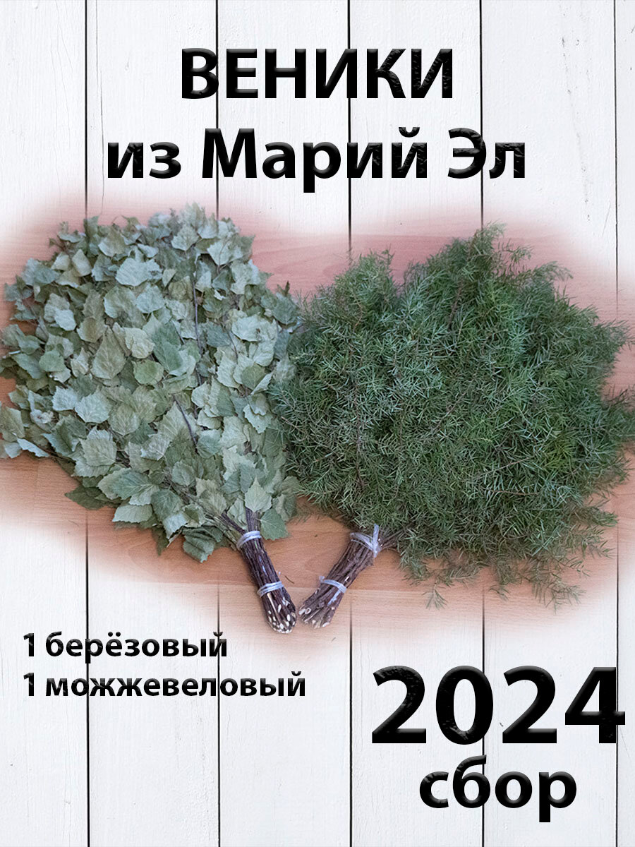 Комплект веников для бани, березовый и можжевеловый из Марий Эл