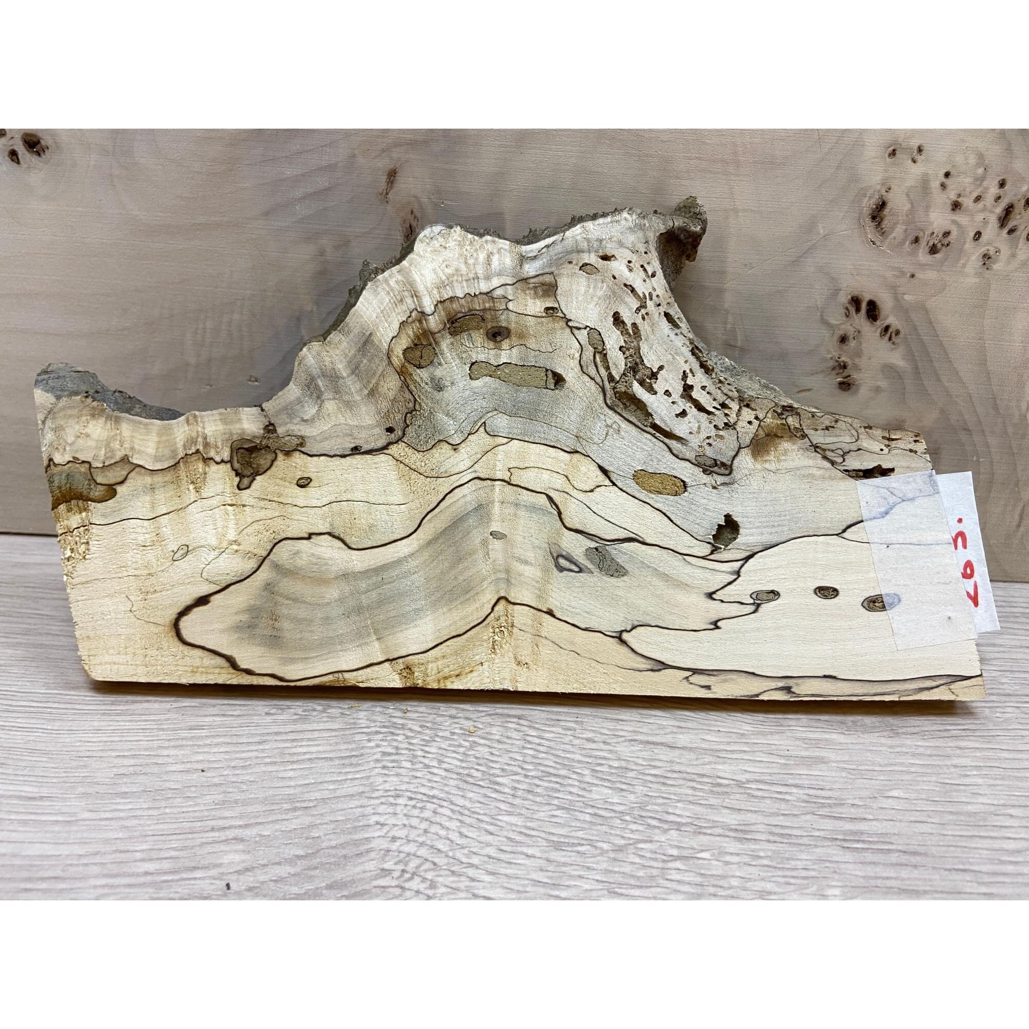 Клён Американский Spalted заготовка накладки на головку грифа под заливку Смешанный ААА 10х70-130-70х230 мм, MusicWood NG-263