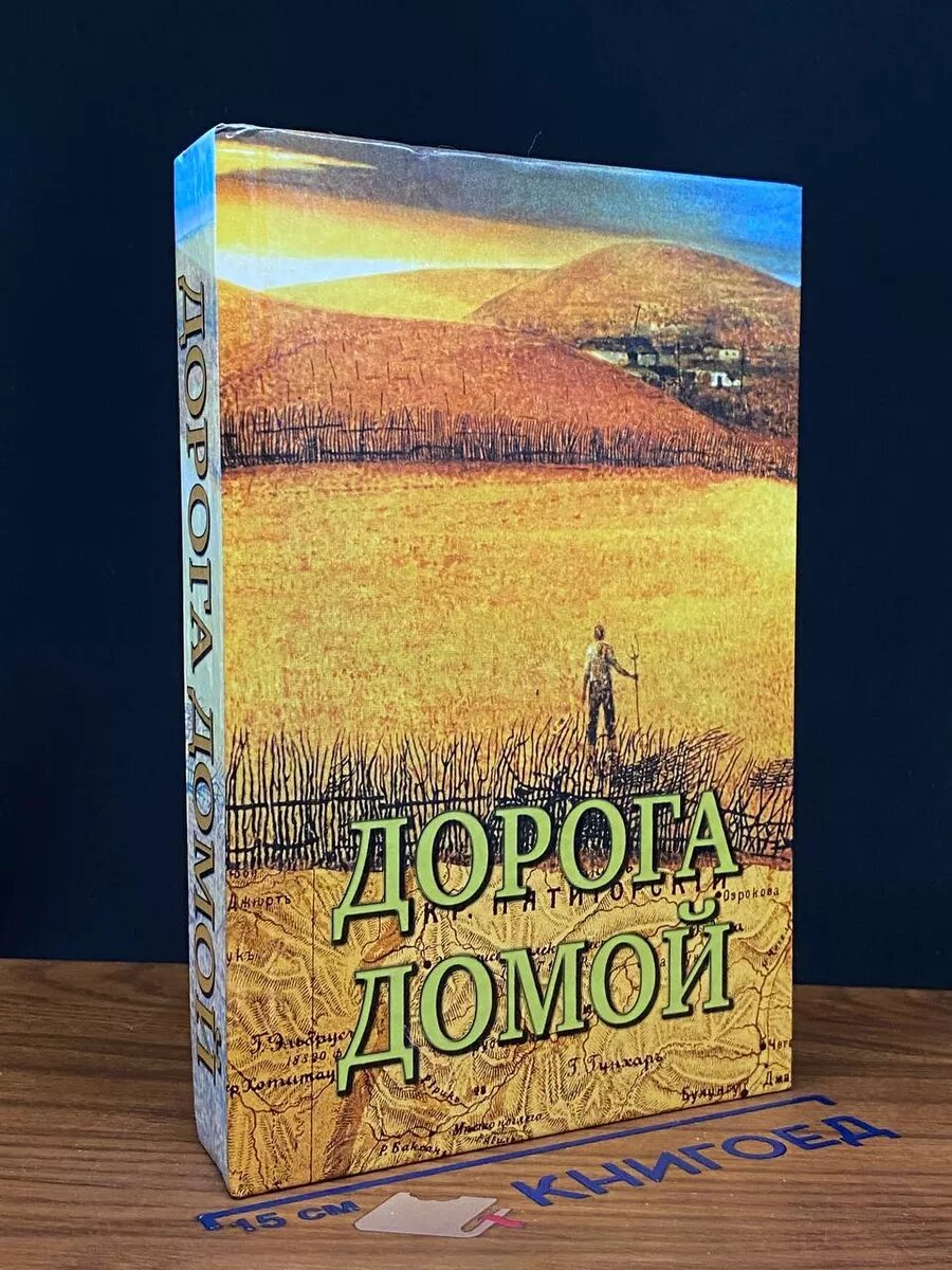 Книга. Дорога домой 2011 (2040955502943)