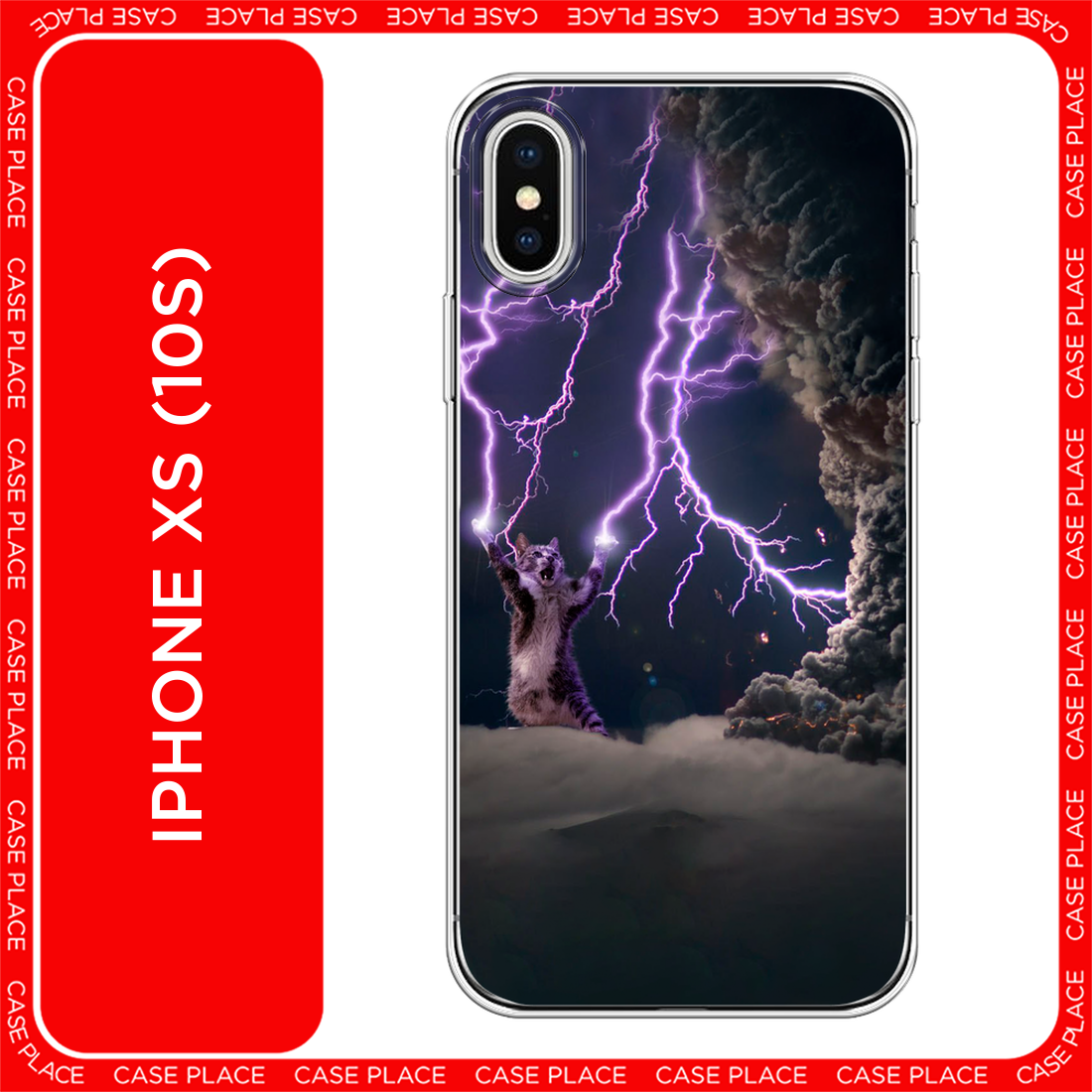 Чехол на Apple iPhone XS / Айфон XS с принтом Кот призыватель погоды