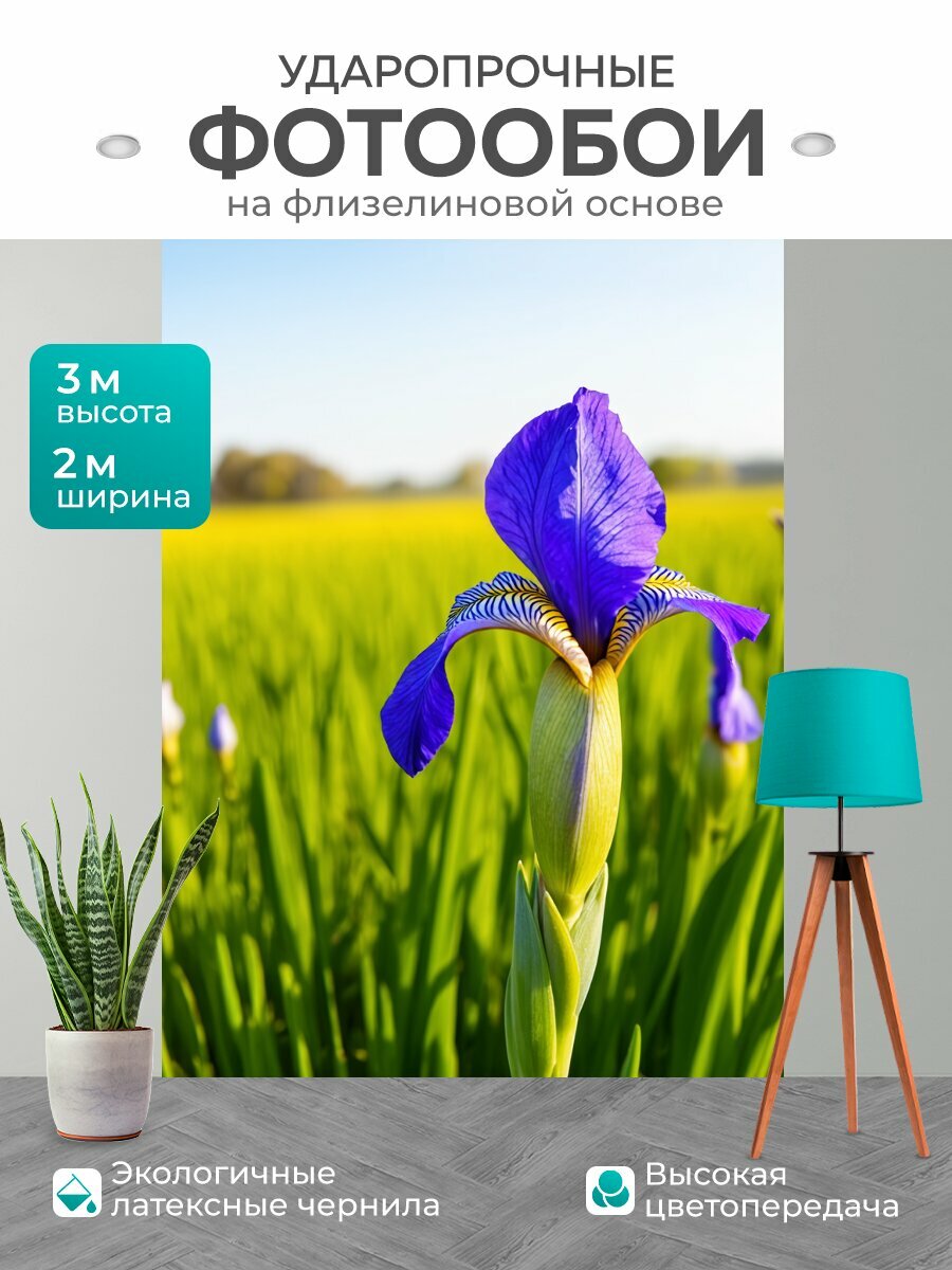 Фотообои моющиеся ударопрочные "Ирисы, танцующие на ветру в поле" 200x300 см. флизелиновые на стену