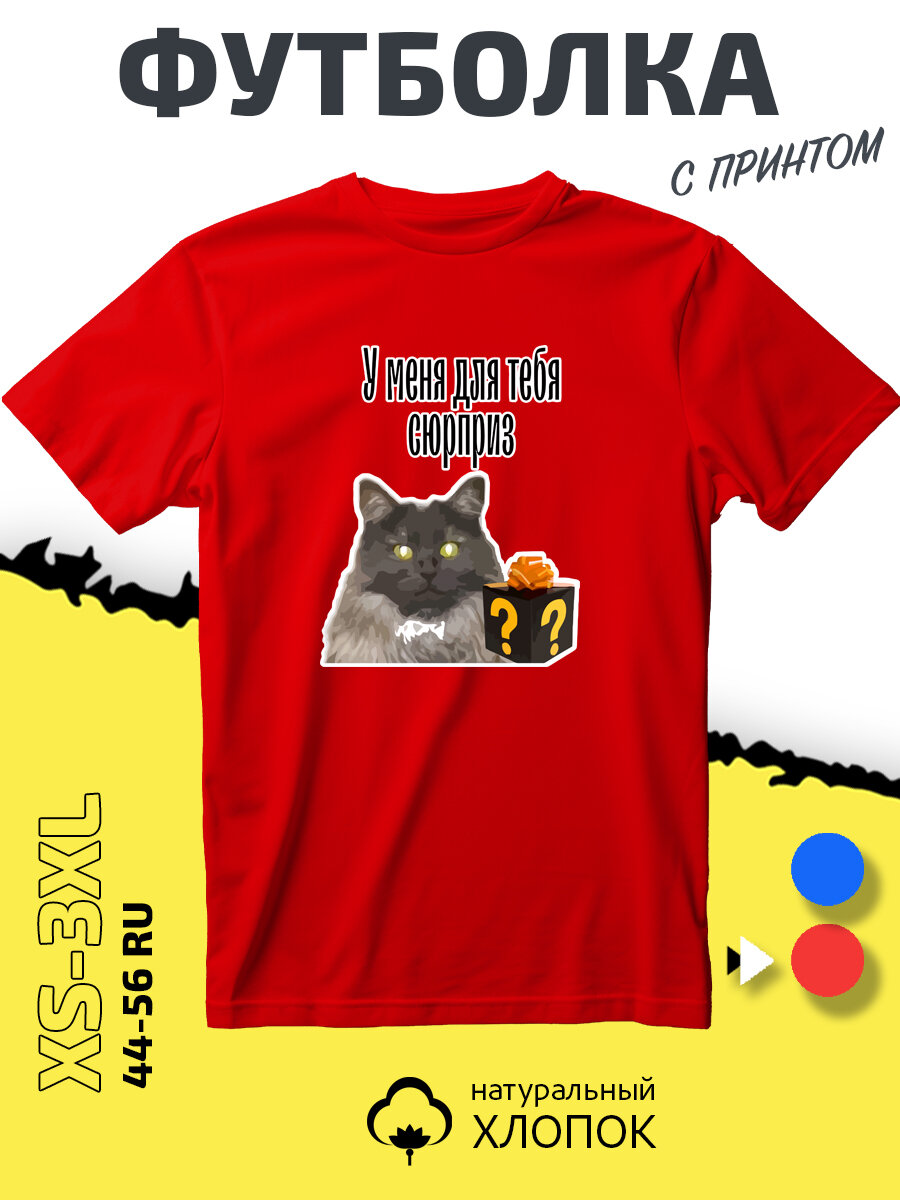 Футболка мемный кот