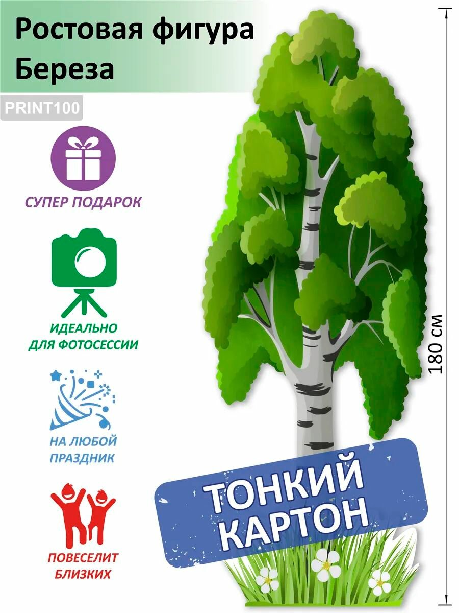 Береза вид 1 Ростовая фигура, Тонкий картон, (Print100.ru), 180см