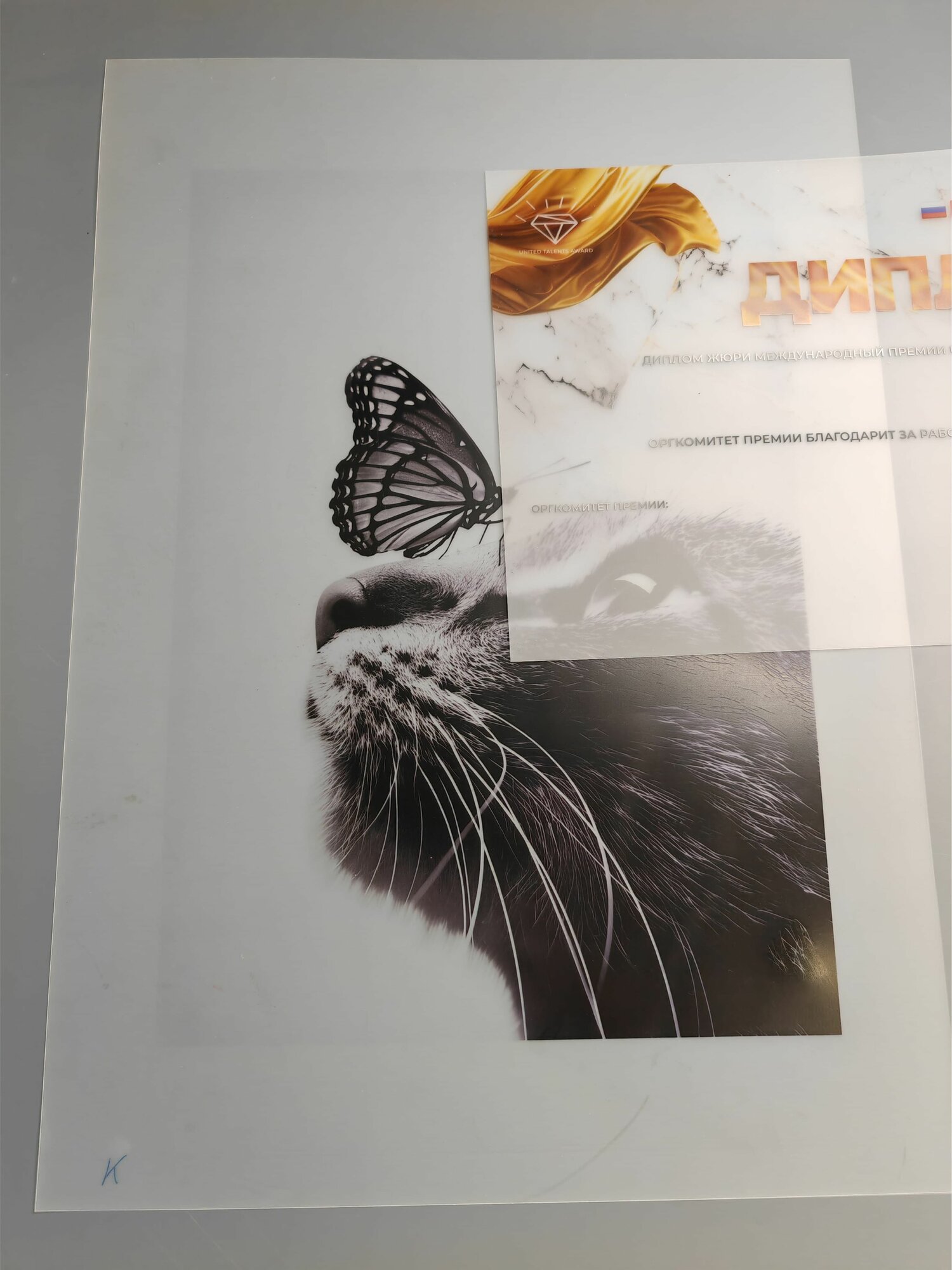 Пластик для цифровой (лазерной) печати, прозрачный 0,3 мм. Размер 320х450мм. 15 листов.