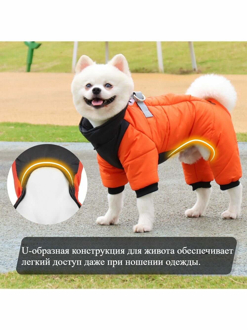 Одежда для животных