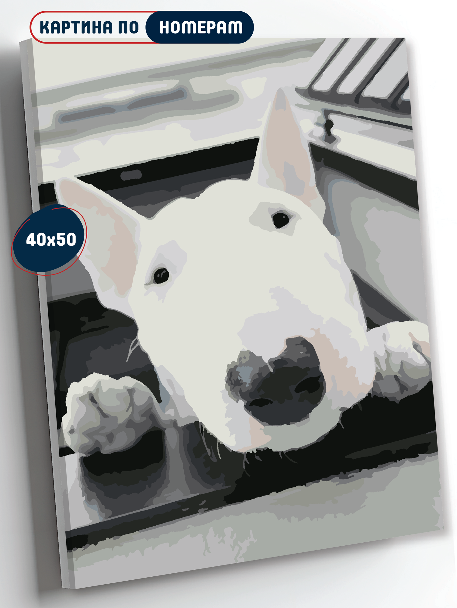 Картина по номерам "Бультерьер", Холст на подрамнике 40х50, набор для рисования, с собакой