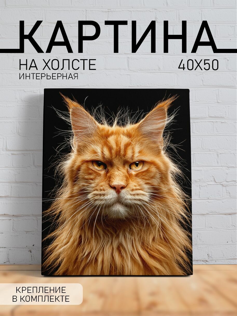 Картина на стену для интерьера на холсте с подрамником "Мейн-кун. Рыжий кот", 40х50 см