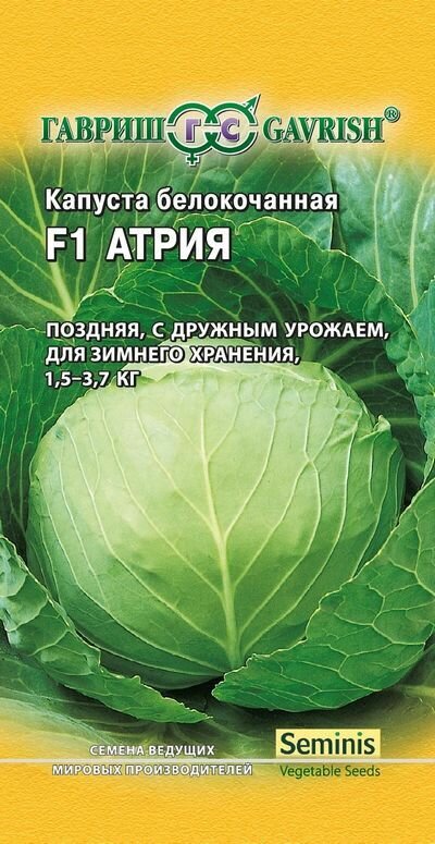 Семена Капуста б/к F1 Атрия 10 шт.