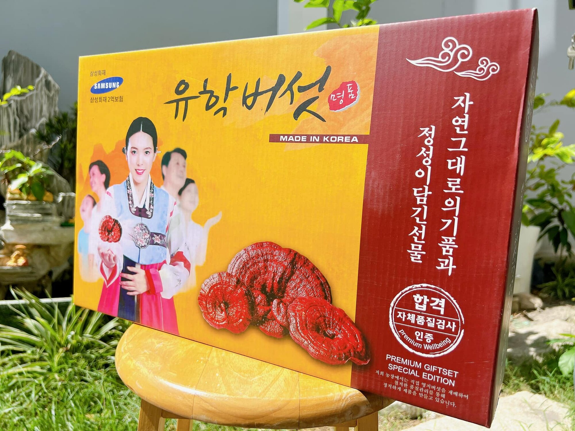 Грибы Рейши Линчжи целые 1кг Корея Премиум