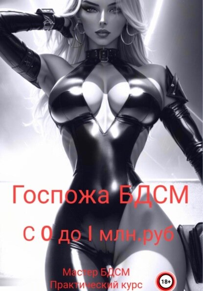 Госпожа БДСМ: с нуля до миллиона [Цифровая книга]