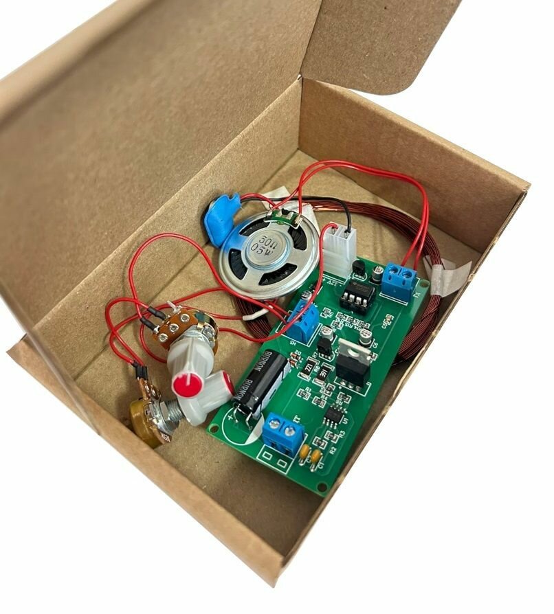 Пират Про металлоискатель (собери сам)