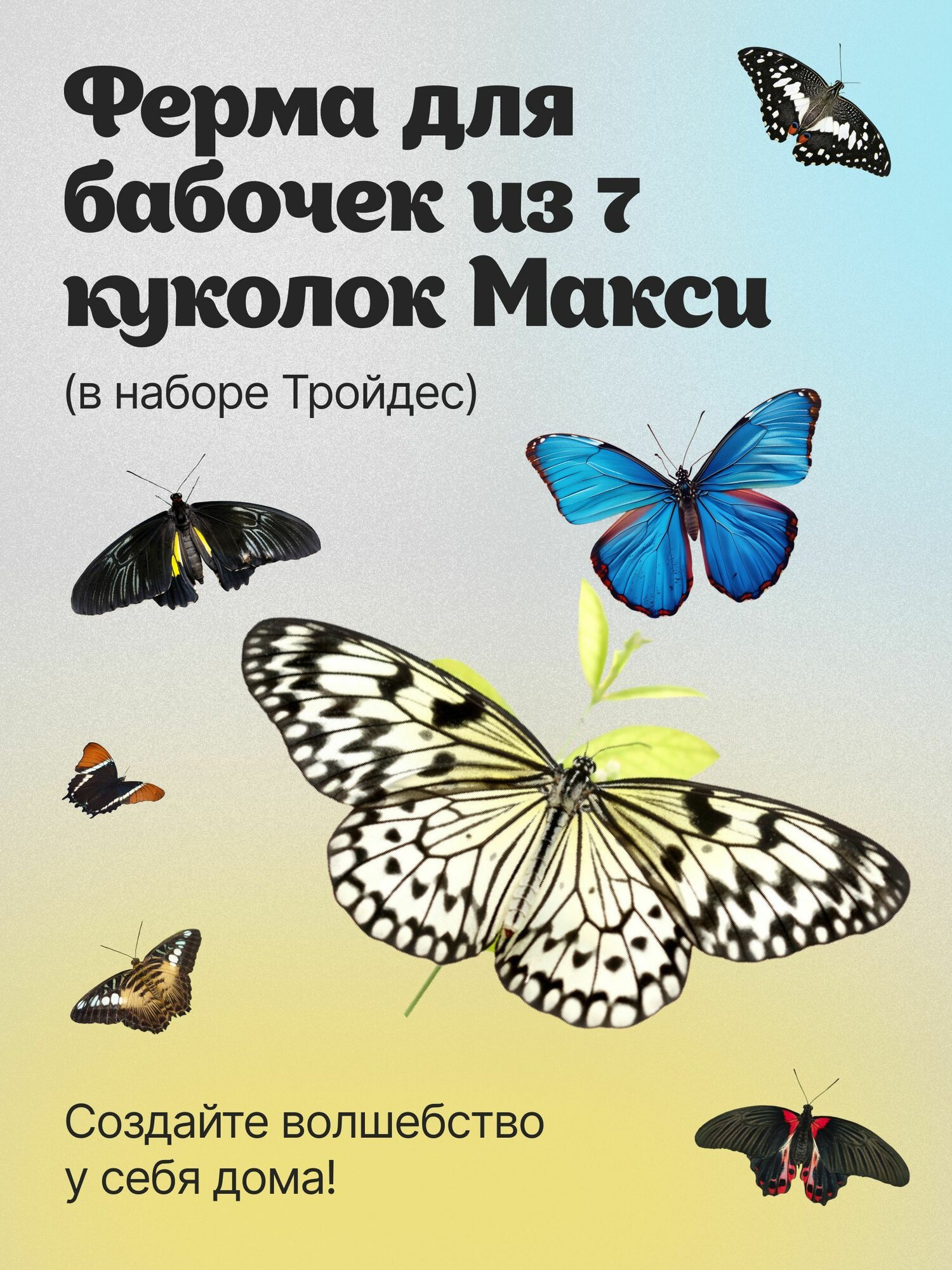 Ферма бабочек