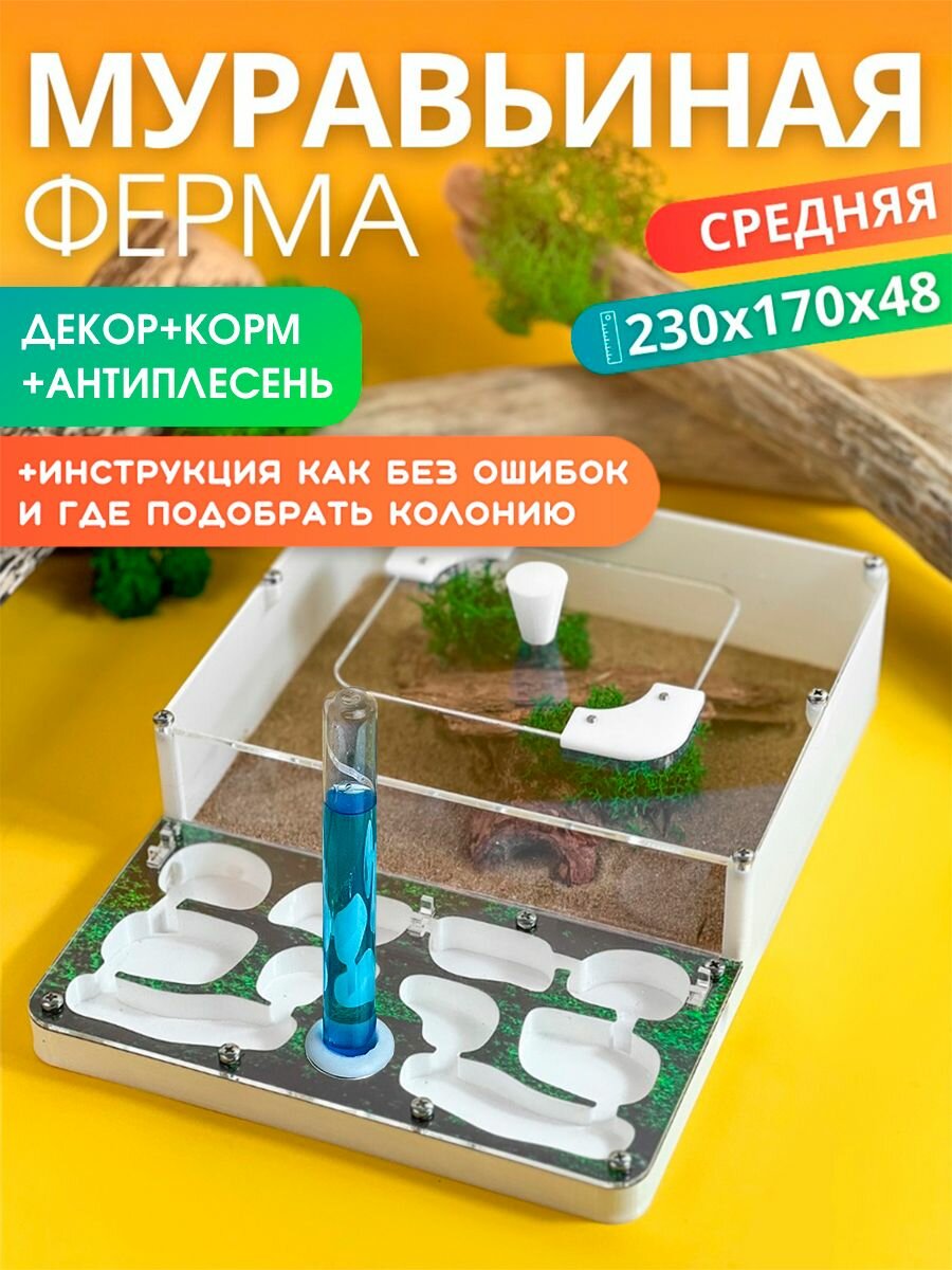 Средняя гипсовая муравьиная ферма AntBerry. ВСЕ включено. Формикарий для муравьев