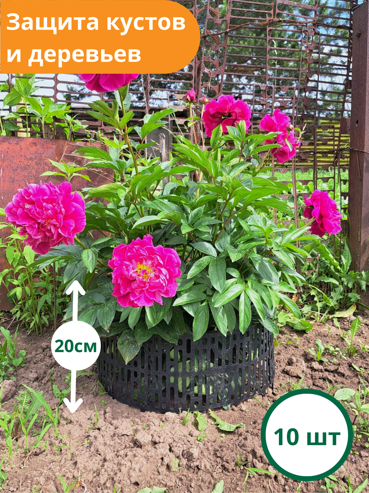 Ограждение для кустов, защита стволов деревьев, опора для растений 37х20 см (10 штук), черное, Standartpark