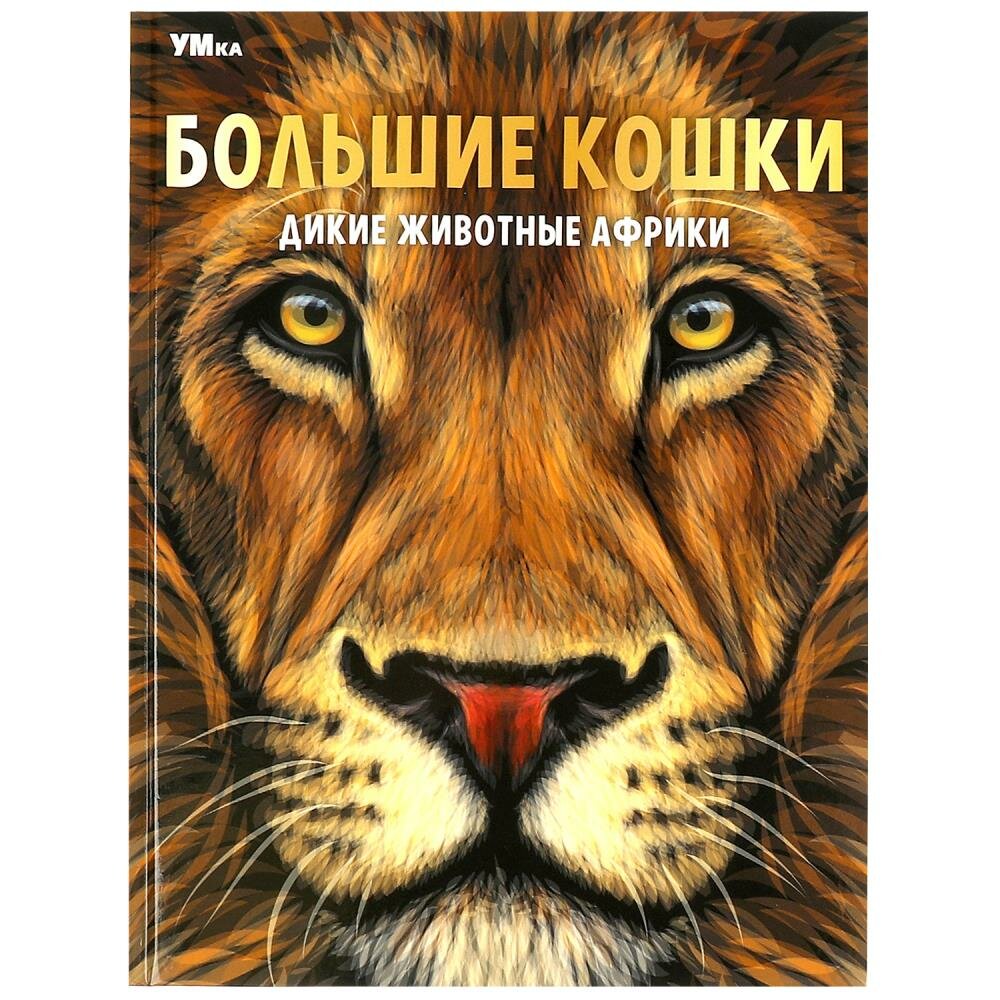 Энциклопедия Большие кошки. Дикие животные Африки, 48 стр. Умка 978-5-506-07164-8