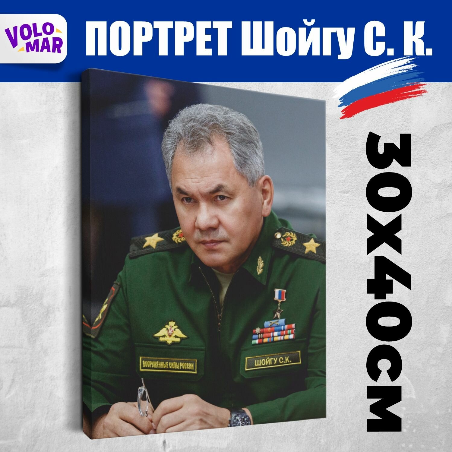 Картина на холсте для интерьера "Шойгу", 300х400 мм, VoloMar