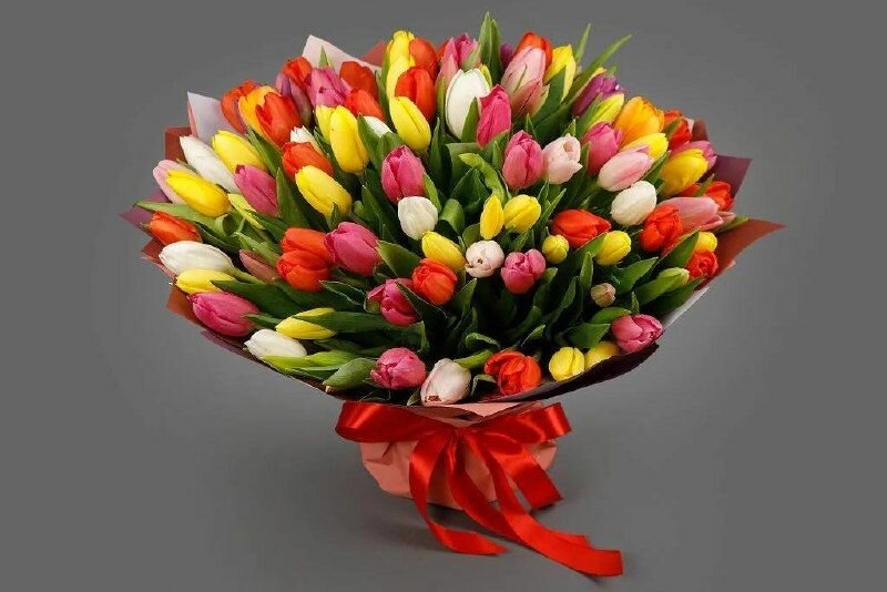 Тюльпаны, 101 шт.