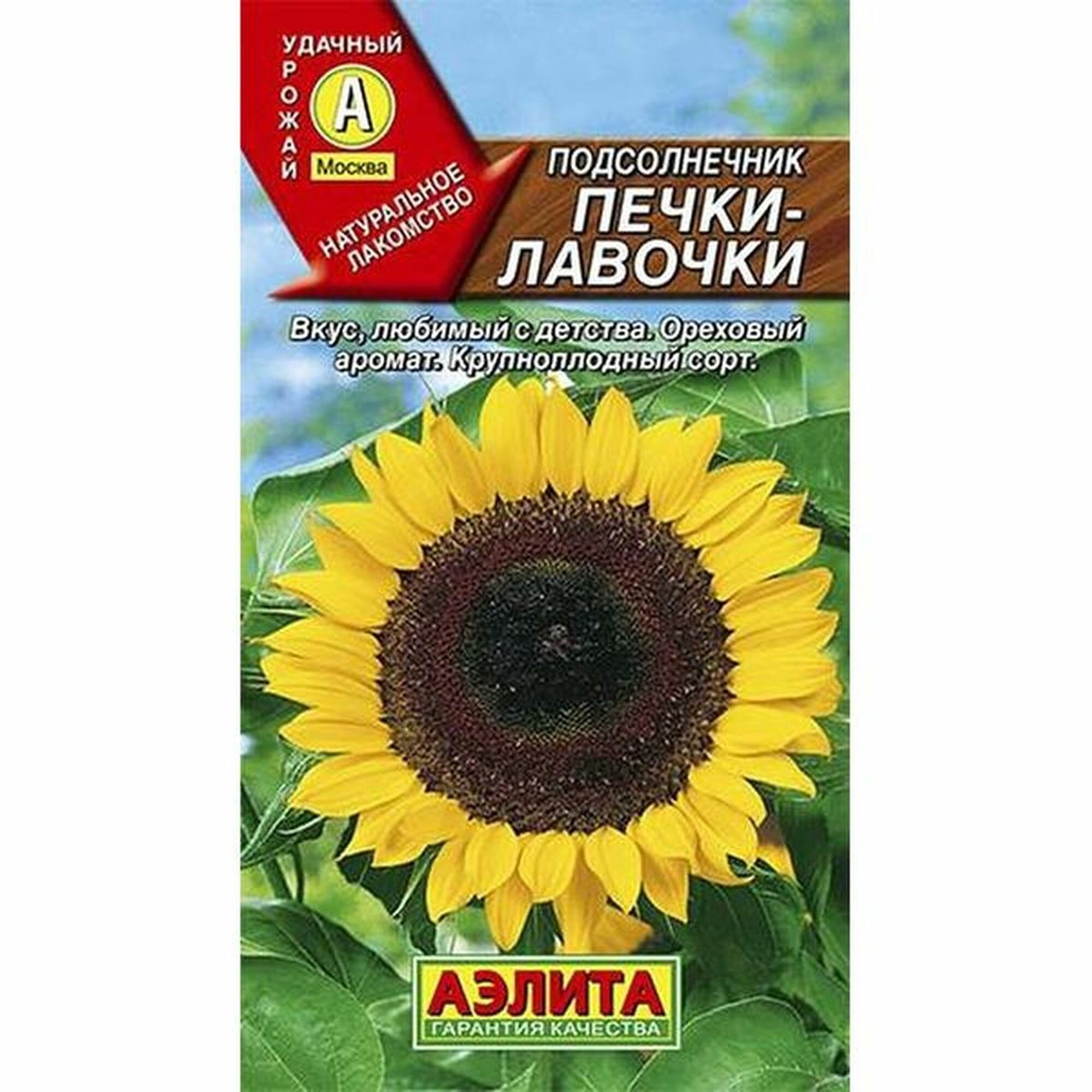 Семена Подсолнечник Печки лавочки, раннеспелый, Аэлита, 1 пачка - 5г семян