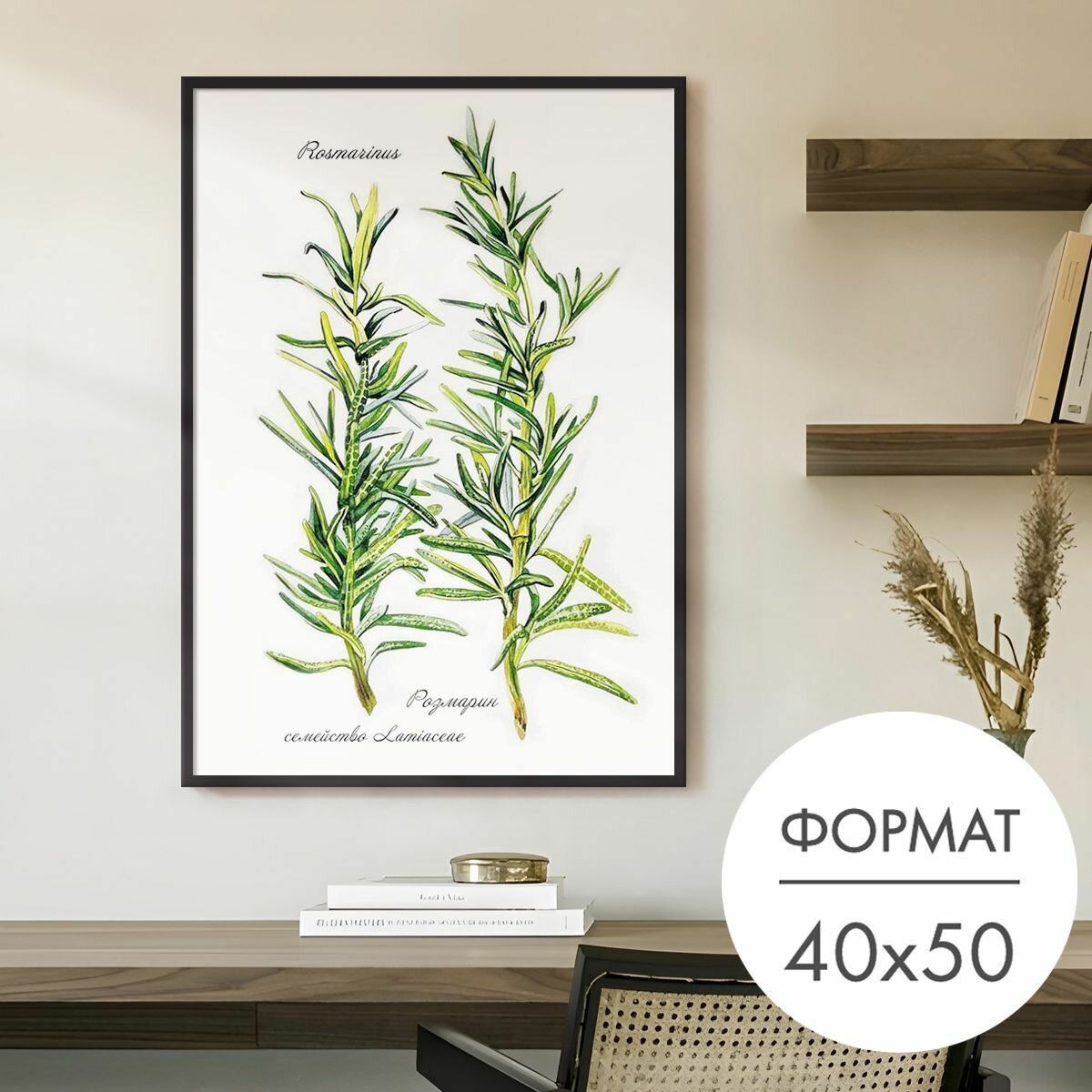 Постер "Розмарин иллюстрация" 40x50 без рамки для интерьера, плакат на стену