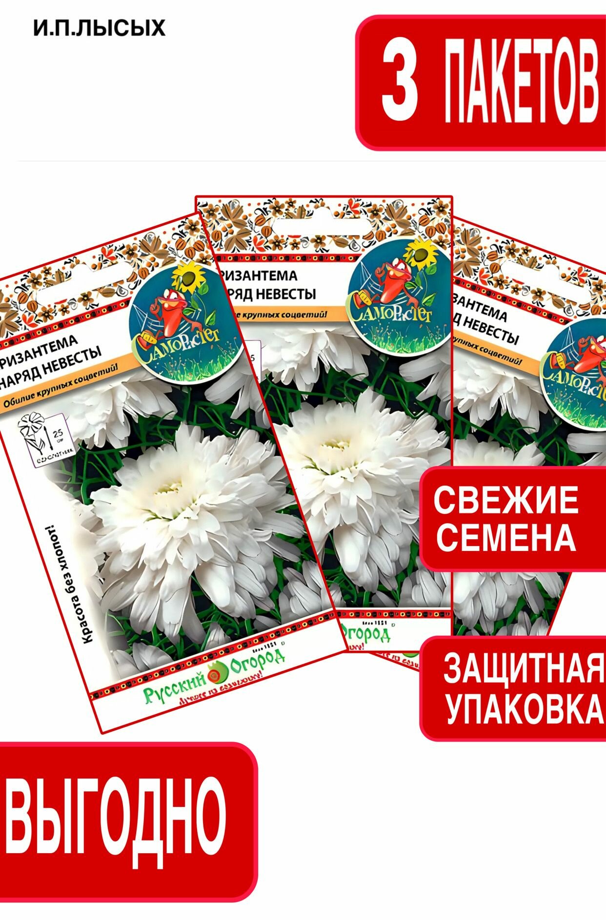 Семена цветов Хризантема наряд невесты