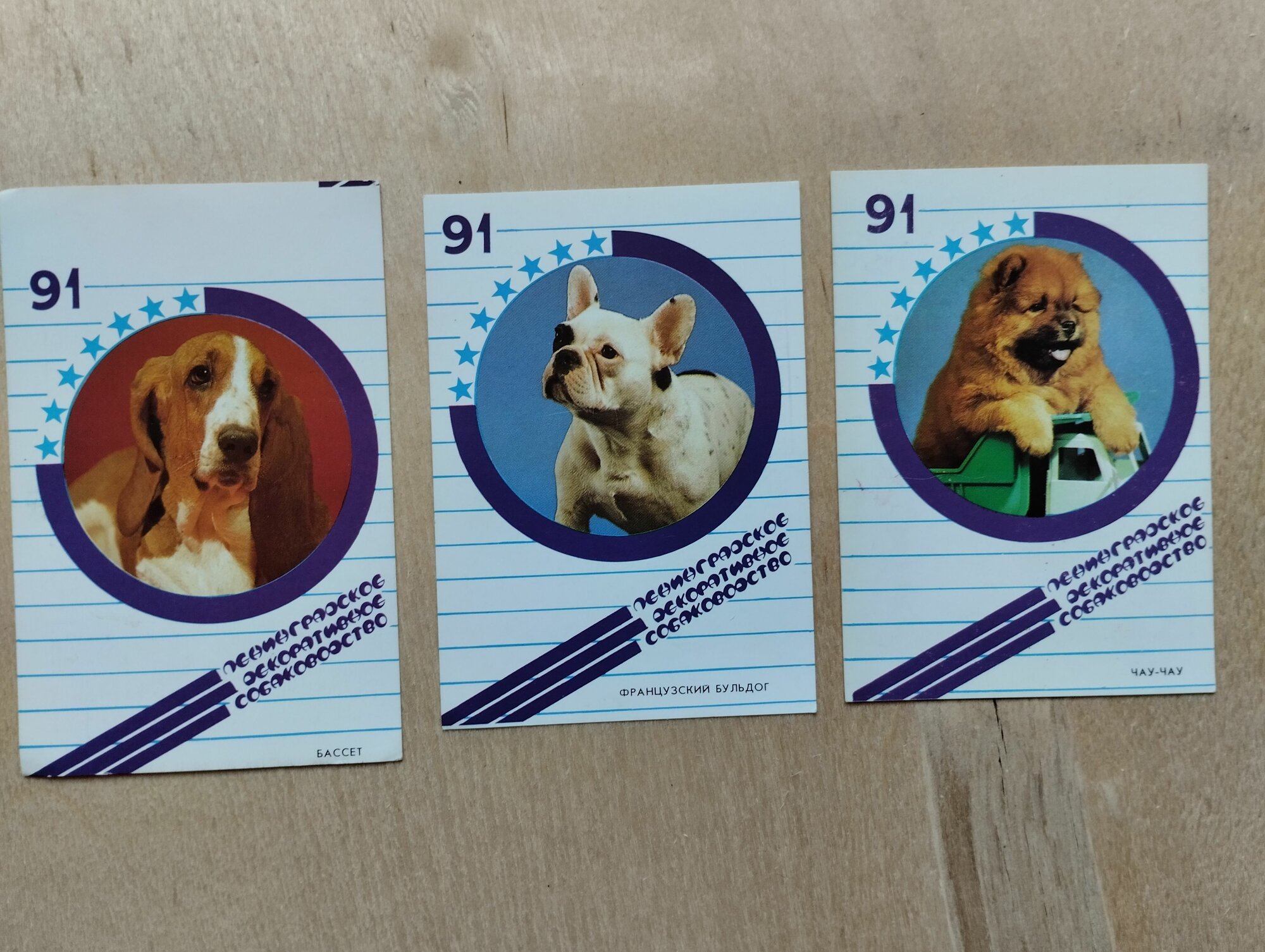 Календарик карманный СССР. 1991 год. Ленинградское декоративное собаководство (набор из 3 штук)