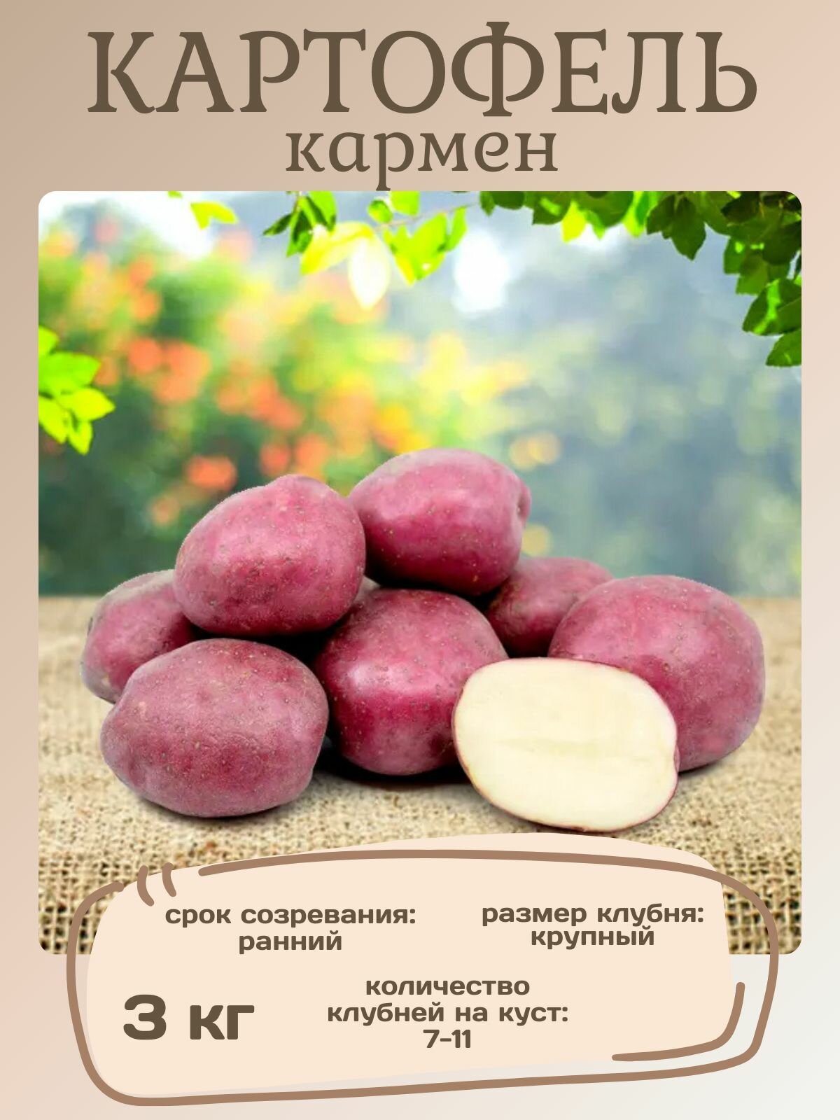 Семенной картофель 3 кг, на посадку