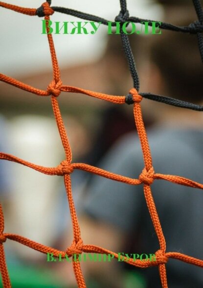 Вижу поле [Цифровая книга]