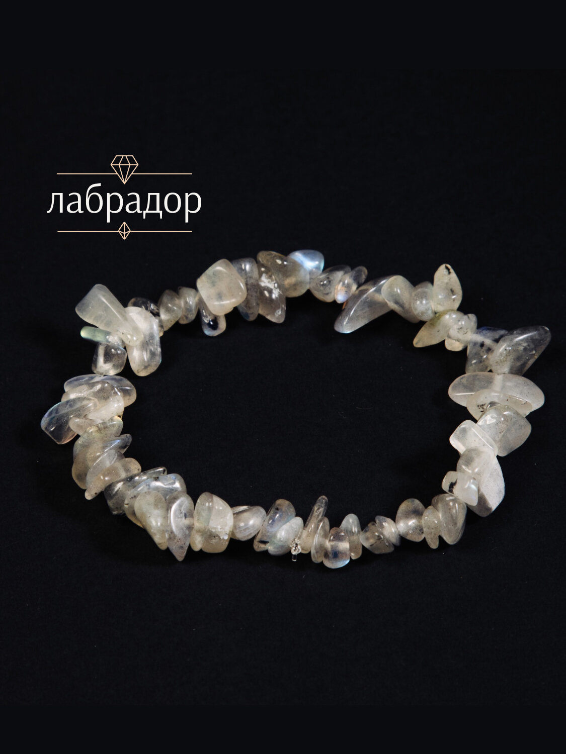 Эластичный браслет, лабрадор