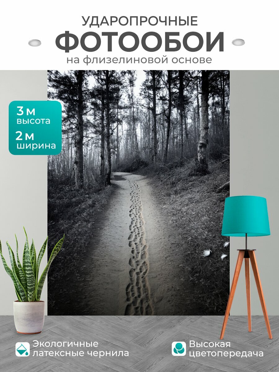 Фотообои моющиеся ударопрочные "Фотообои лес в стиле черно-белый: лесная тропа, уходящая за горизонт, с деталями, такими как следы животных и перья," 200x300 см. флизелиновые на стену