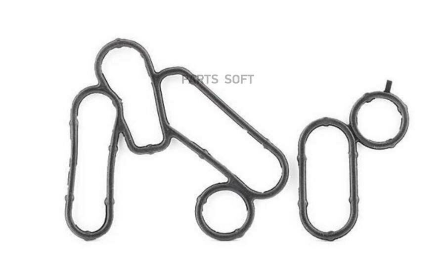 BSG30116109 BSG AUTO PARTS Прокладка маслянного радиатора FORD TRANSIT 2.2D 06-