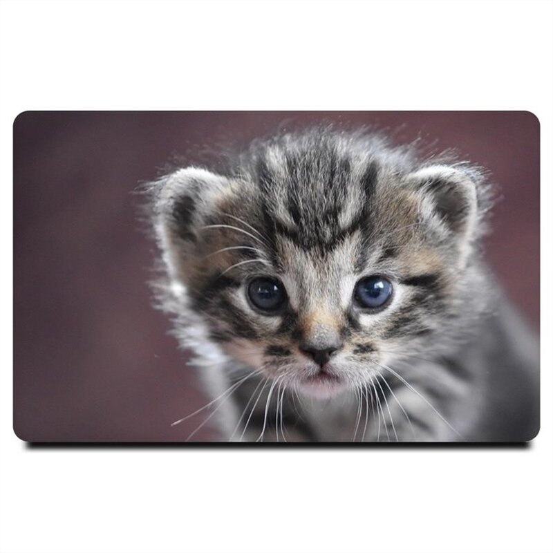 Магнит на холодильник "Котики" 5 шт.