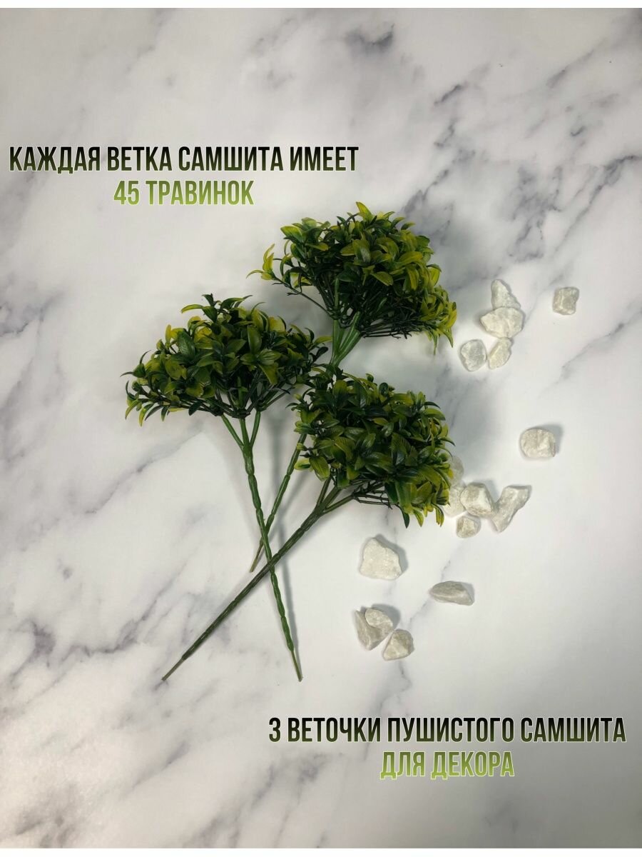 Ветки самшита для декора/набор зелени 3 куста