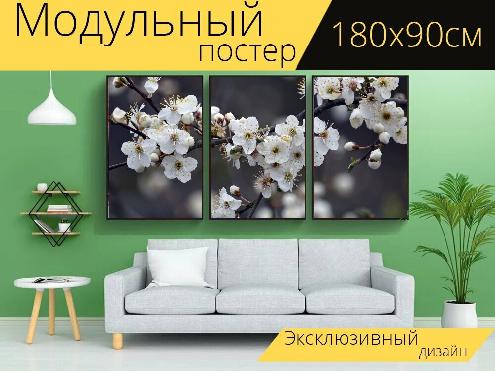Модульный постер "Белые цветки, цветение вишни, сакура" 180 x 90 см. для интерьера