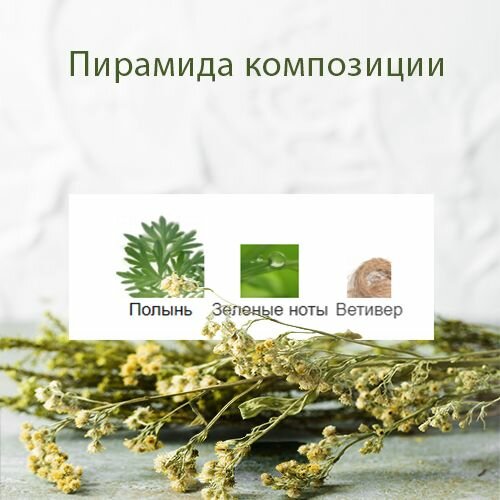 Духи по мотивам Absinth 10 ml. — фото 1