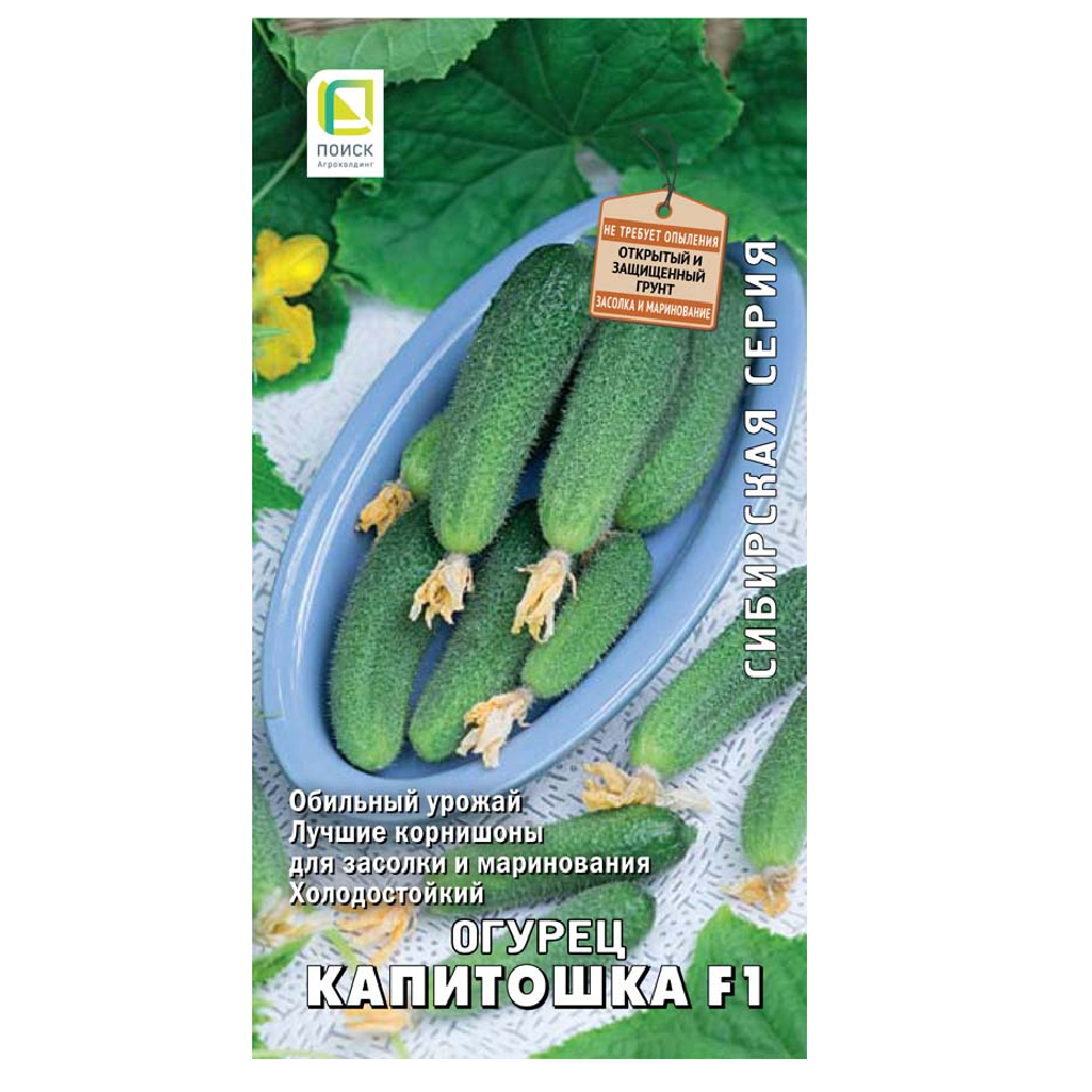 Огурец Капитошка F1 (12 семян), 2 пакета