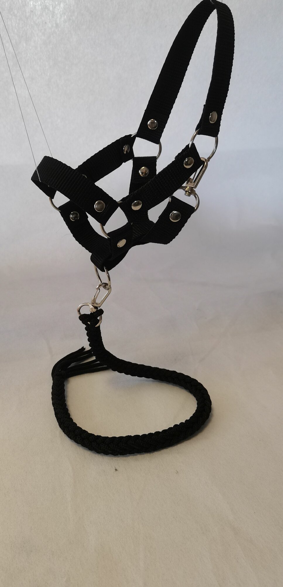 Недоуздок для хоббихорс, с чембуром