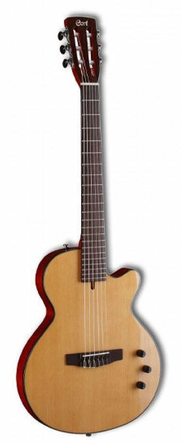 Электроакустическая гитара