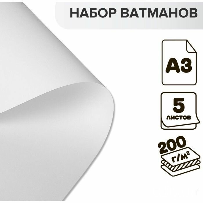 Набор ватманов чертёжных А3, 200г/м, 5 листов в упаковке