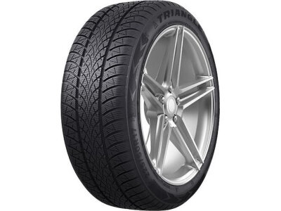 Triangle WinterX TW401 195/55 R16 H91
