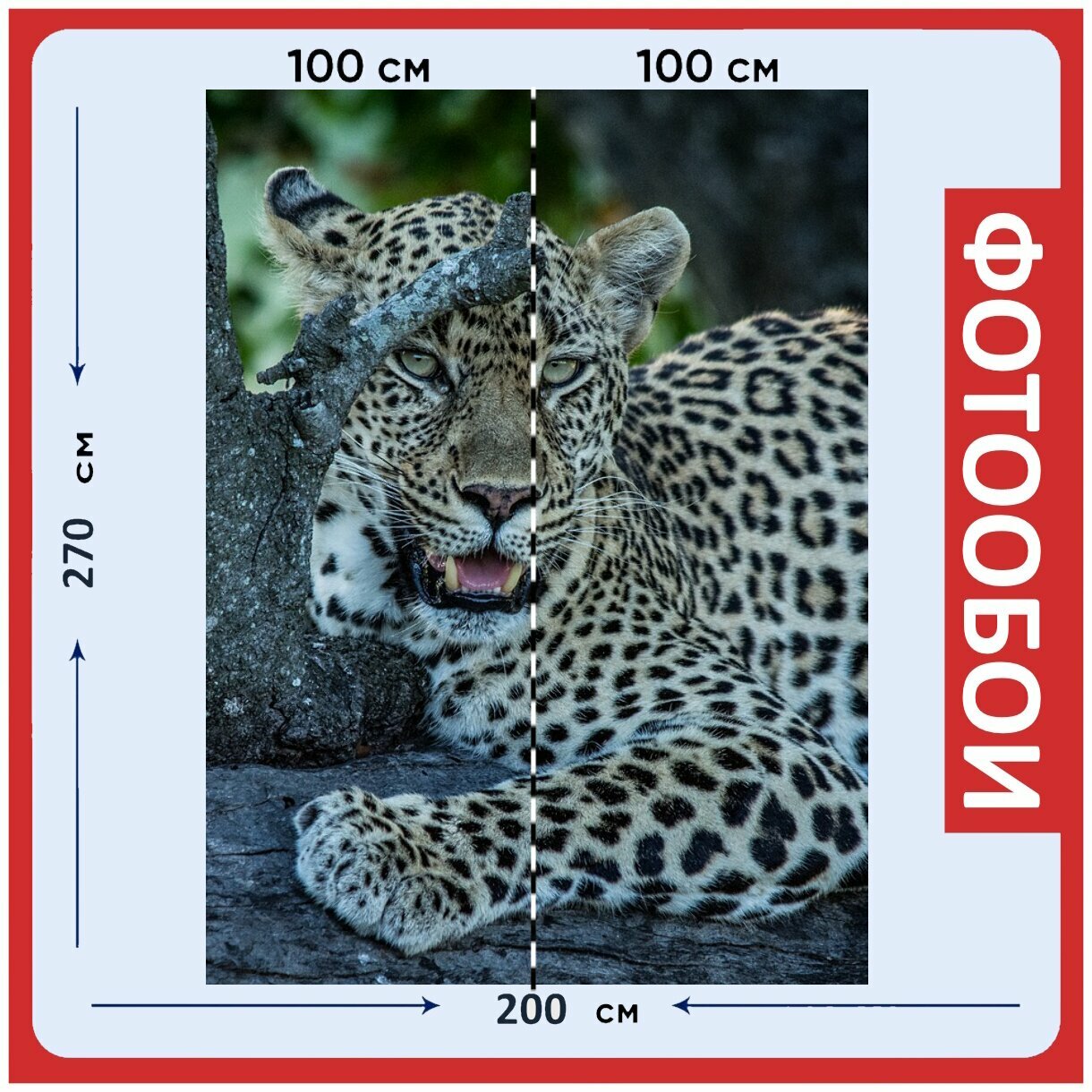 Фотообои "Леопард, большие кошки, хищник" 200x270 см. флизелиновыена стену