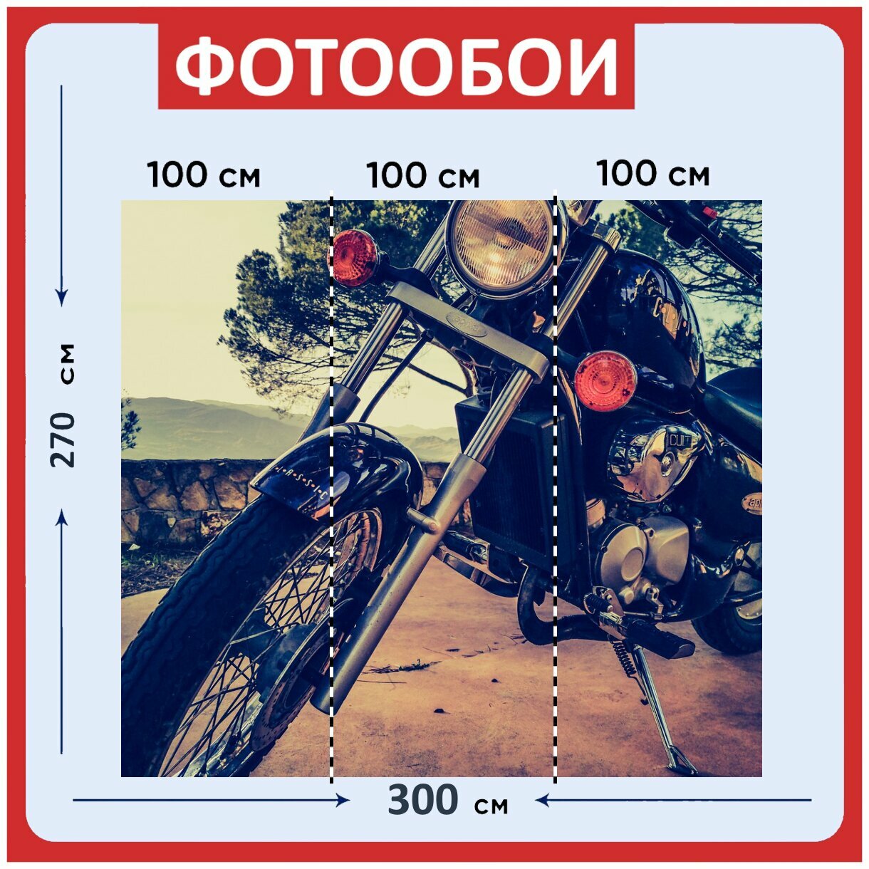 Фотообои ударопрочные моющиеся "Мотор, мотоцикл, металл" 300x270 см. флизелиновые на стену