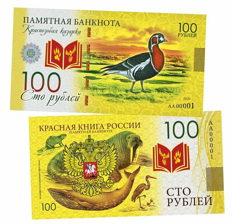 100 рублей Краснозобая казарка. Памятная сувенирная купюра