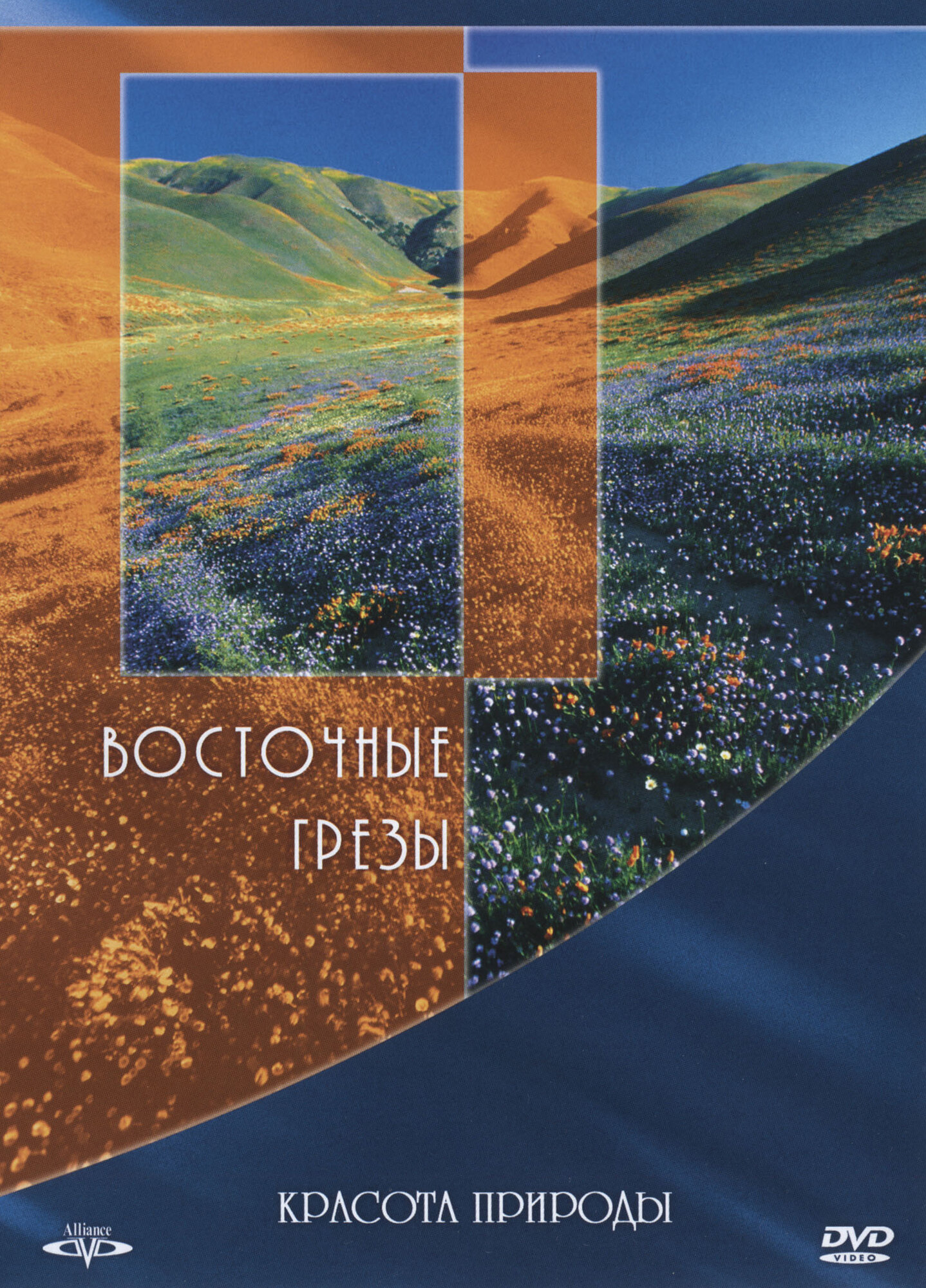 Восточные грезы DVD