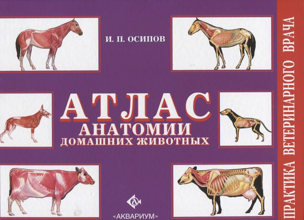 Атлас анатомии домашних животных