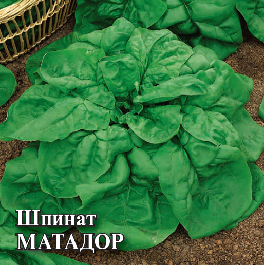 Гавриш Шпинат Матадор ранний 25г
