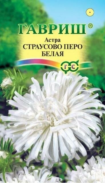 Семена Астра Страусово перо белая 0,3г Одн 50см (Гавриш)