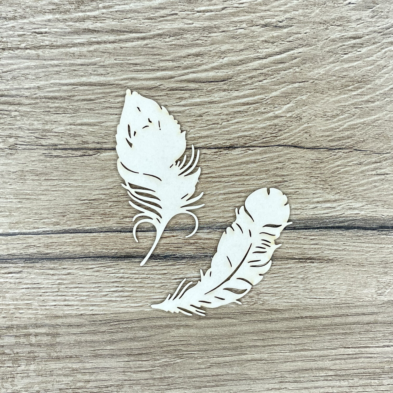 Чипборд "Перья (набор)" толщина 1,55 мм