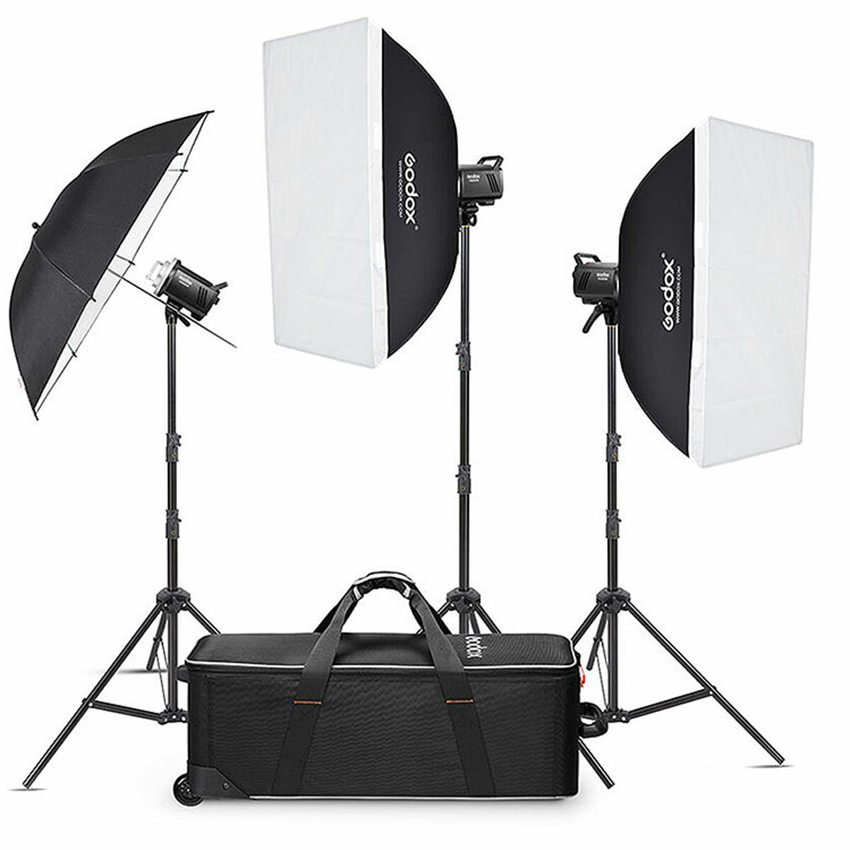 Комплект студийного оборудования Godox MS300V-D